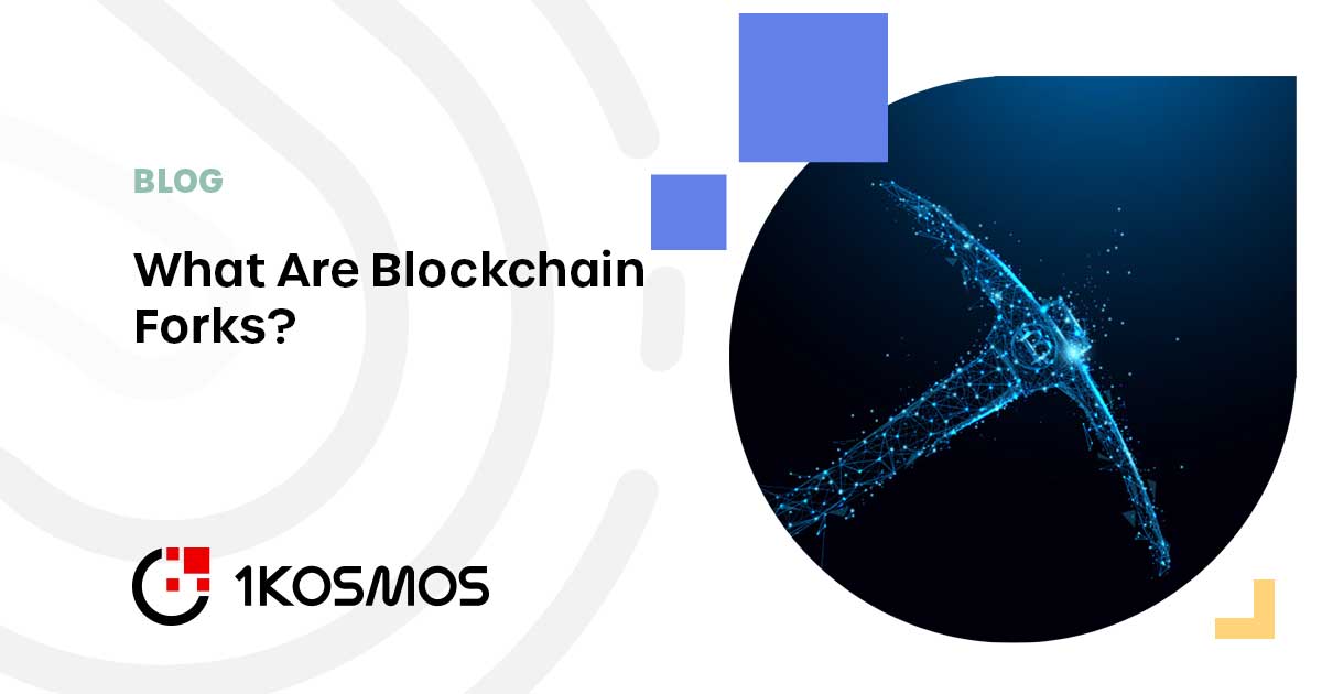 What Are Blockchain Forks? - 1Kosmos